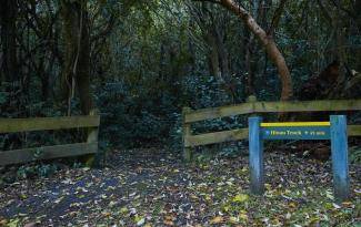 North Canterbury, Walks & Parks » Kidz Go New Zealand